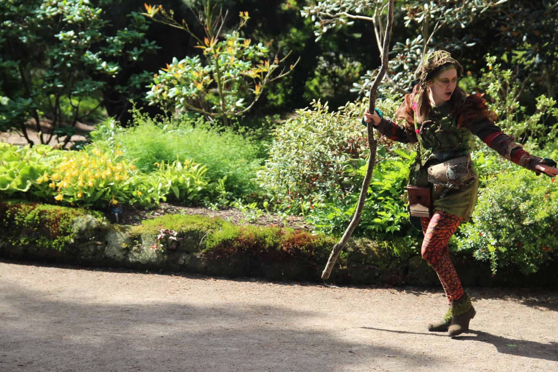 The Listening Tree - Eco Drama